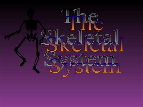 Skeletal System Powerpoint Ppt