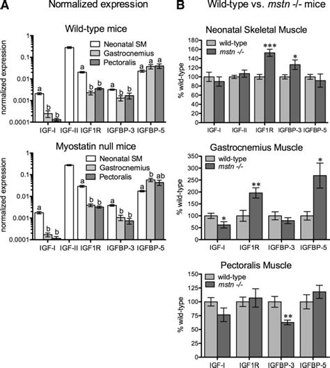 Skeletal Muscle Expression Of Igfigfbp Axis Components In Wt And