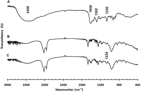 Ft Ir Spectra Of Vancomycin Hydrochloride Free Drug A Unloaded Download Scientific Diagram