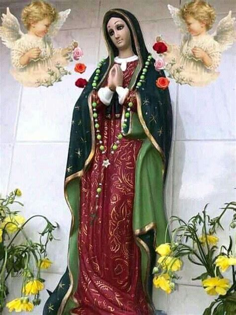 Pin De Eugenio Maria En Rosas Rojas Frases Lindas Fotos De Amor