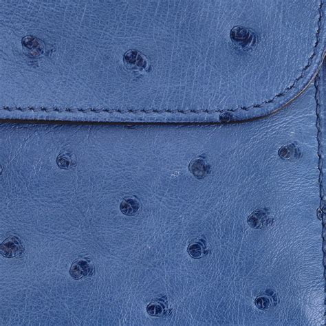 Hermes Ostrich Skin Constance Long Wallet For Sale At 1stdibs