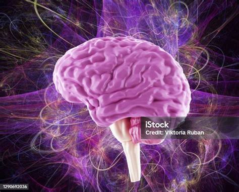 압도 뇌 활동 색깔의 인간의 뇌 모델 3d 일러스트 0명에 대한 스톡 사진 및 기타 이미지 0명 개성 개념 건강 진단