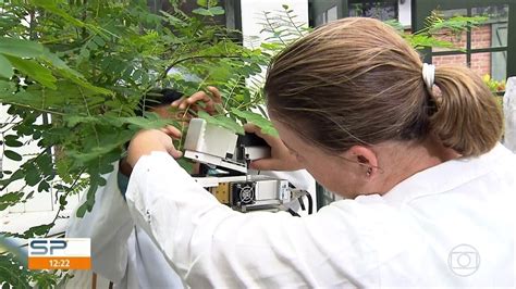 Vídeo Usp Desenvolve Projeto Para Identificar Saúde Das Plantas