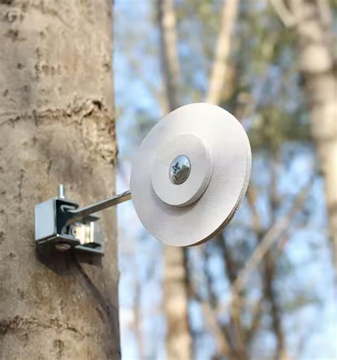 Spring Assisted Self Resetting Target Lone And Grey Outfitters