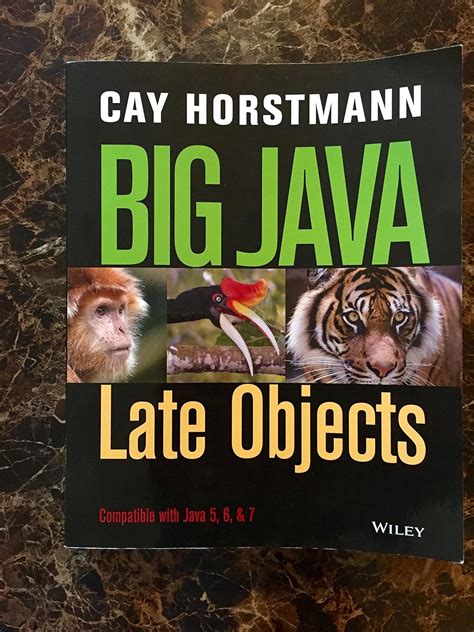 Big Java Late Objects Horstmann Cay S Books Amazon Ca