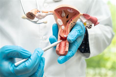 Types Of IVF Knowing Your Options Dr Pratik Tambe