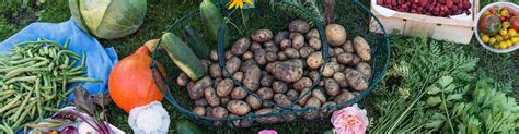Food Self Sufficiency