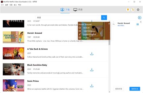 Movpilot Netflix Video Downloader 使用指南