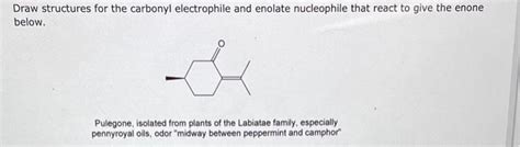 Solved Draw Structures For The Carbonyl Electrophile And