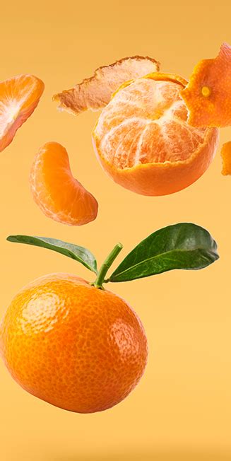 Ativo Bergavit Bionap