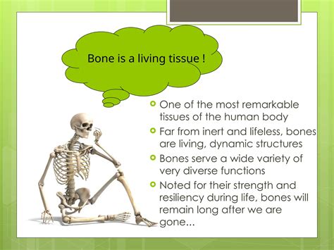 Biochemistry Of Bone Formation And Degradation Ppt