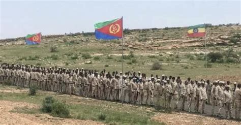 Eritrean Army Accused Of Atrocities In Tigray — East African Herald