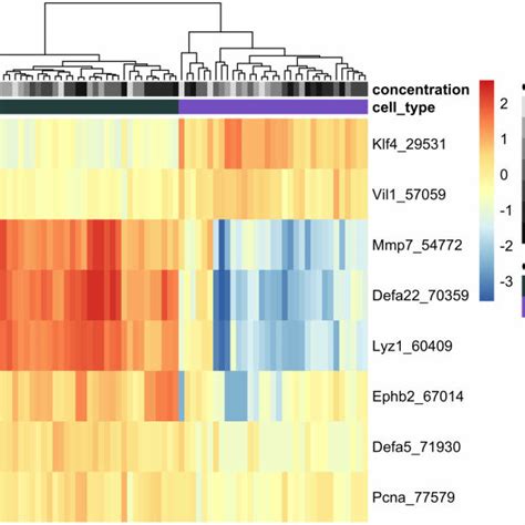 Heatmap Of Selected Genes Representing Markers Of Crypt And Villus Download Scientific Diagram