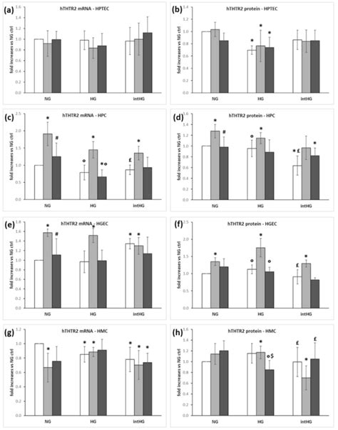 Thtr2 Expression In Renal Glomerular Cells Under Different Experimental Download Scientific