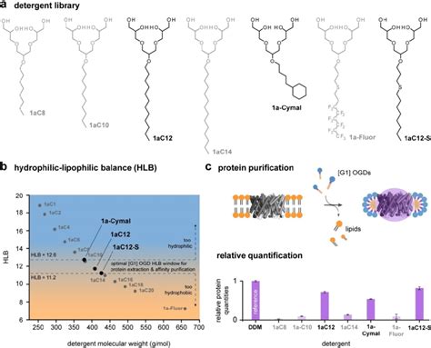 Exploring The Optimization Of The Hydrophobic Tail In G1 Ogds By Hlb