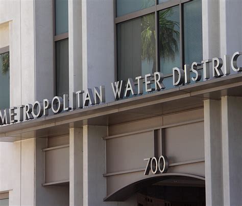 Mwd Management