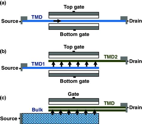Tmd Tfet Configurations A Homojunction Tmd Tfet 74 76 B 2d