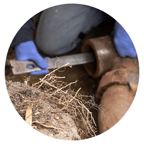 Encrustation And Root Removal In Middlesbrough RRDC