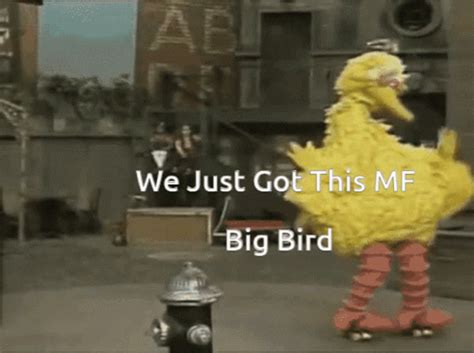 Big Bird 480 X 310  