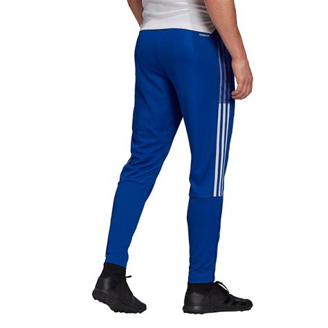 Adidas Tiro 21 Training Pants Blue Dressinn
