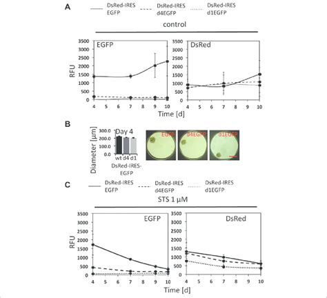 Evaluation Of Different Enhanced Green Fluorescent Protein Egfp