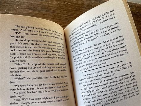 Grasshopper Summer Ann Turner Troll Book 1991 Etsy