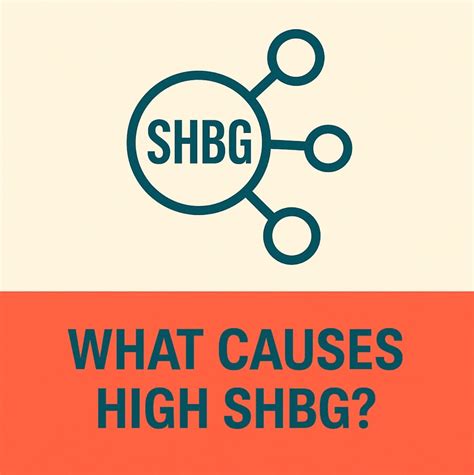 What Causes High Shbg Understanding The Factors Behind Sex Hormone