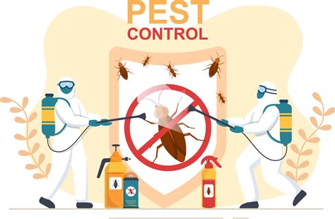 Incredible Pest Control Hacks Boric Acid To The Rescue