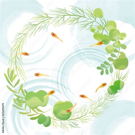 メダカ 水草 和風イラスト Stock Vector Adobe Stock