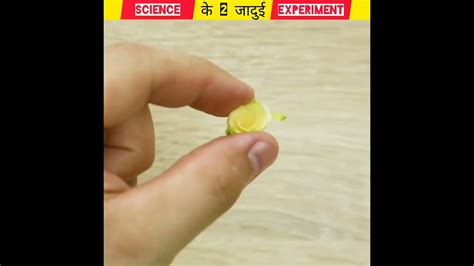 2 Science Experiments 👨‍💻 Shorts Shortsvideo Viralshorts
