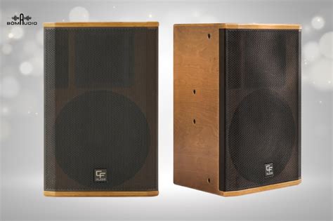 Loa Karaoke Cf Audio Lux Ch Nh H Ng Gi T T