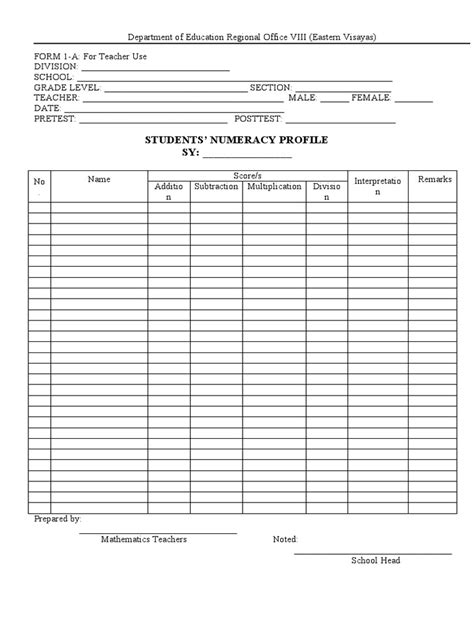 Students Numeracy Profile Sy Pdf Mathematics