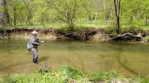 What is Fly Fishing? - YouTube