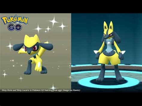 Dia De ECLOSIONES De RIOLU SHINY VAMOSSS POKEMON GO YouTube