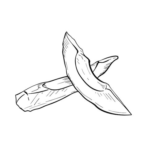 Premium Vector Avocado Slices Vector Illustration Avocado Fruit Ripe