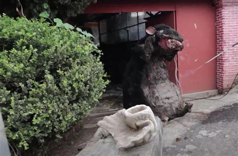 No Fue Abandonada Ni Apareció En Una Coladera La Verdadera Historia
