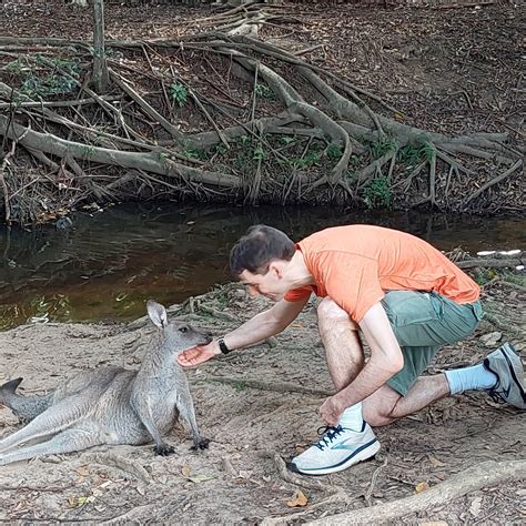 Post From Phantomstrider