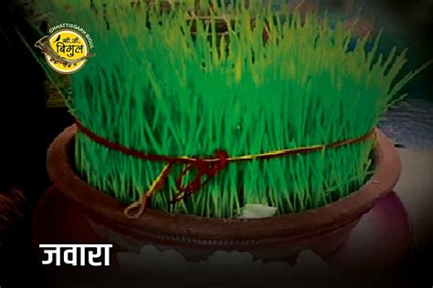 बैगा जनजाति में तीज त्यौहार उत्सव Baiga Janjati Tyohar Baiga Janjati