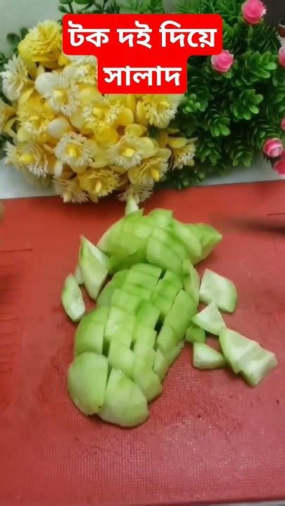 টক দই দিয়ে সালাদ Youtube