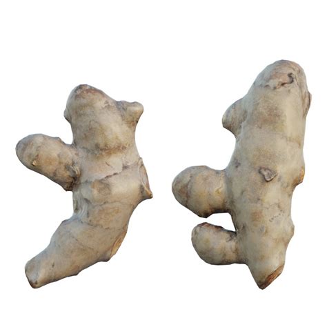 Turmeric 3d Model For Vray Corona