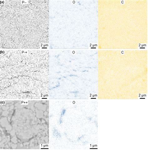 sem edx investigations of the coating structures of selected areas and
