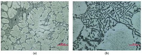 microstructure of the casting by the lattice sand mold a 100× and