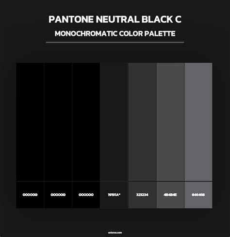 Pantone Neutral Black C Color Palettes