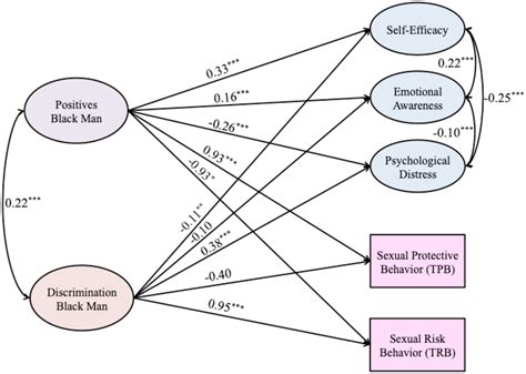 Intersectional Discrimination Positive Feelings And Health Indicators