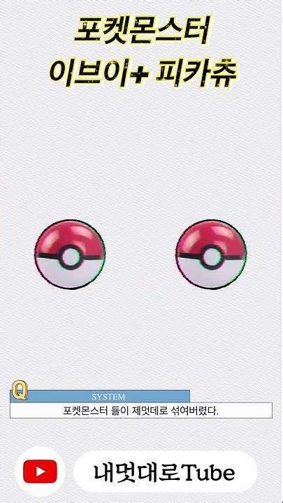 포켓몬스터 이브이 피카츄 스킨 입히기~ Youtube