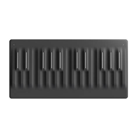 Smart Home And Technology Seaboard Block Synthesizer