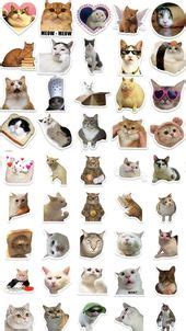 Stickers De Perros Graciosos