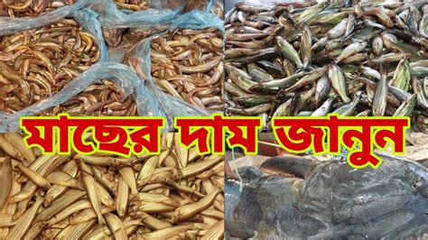 পাইকারি মাছের নতুন দাম গুলো জেনে নিন Fish Prices 5 April 2024