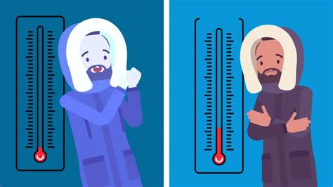 Imhpa Diferencia Entre Sensación Térmica Y Temperatura