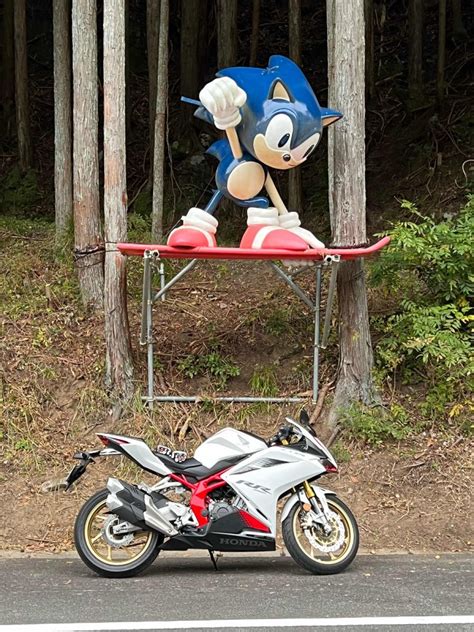 おかもっちさんの投稿したツーリング情報 Segaのゲームキャラクターのソニックと｜バイクのカスタムツーリング情報ならモトクル